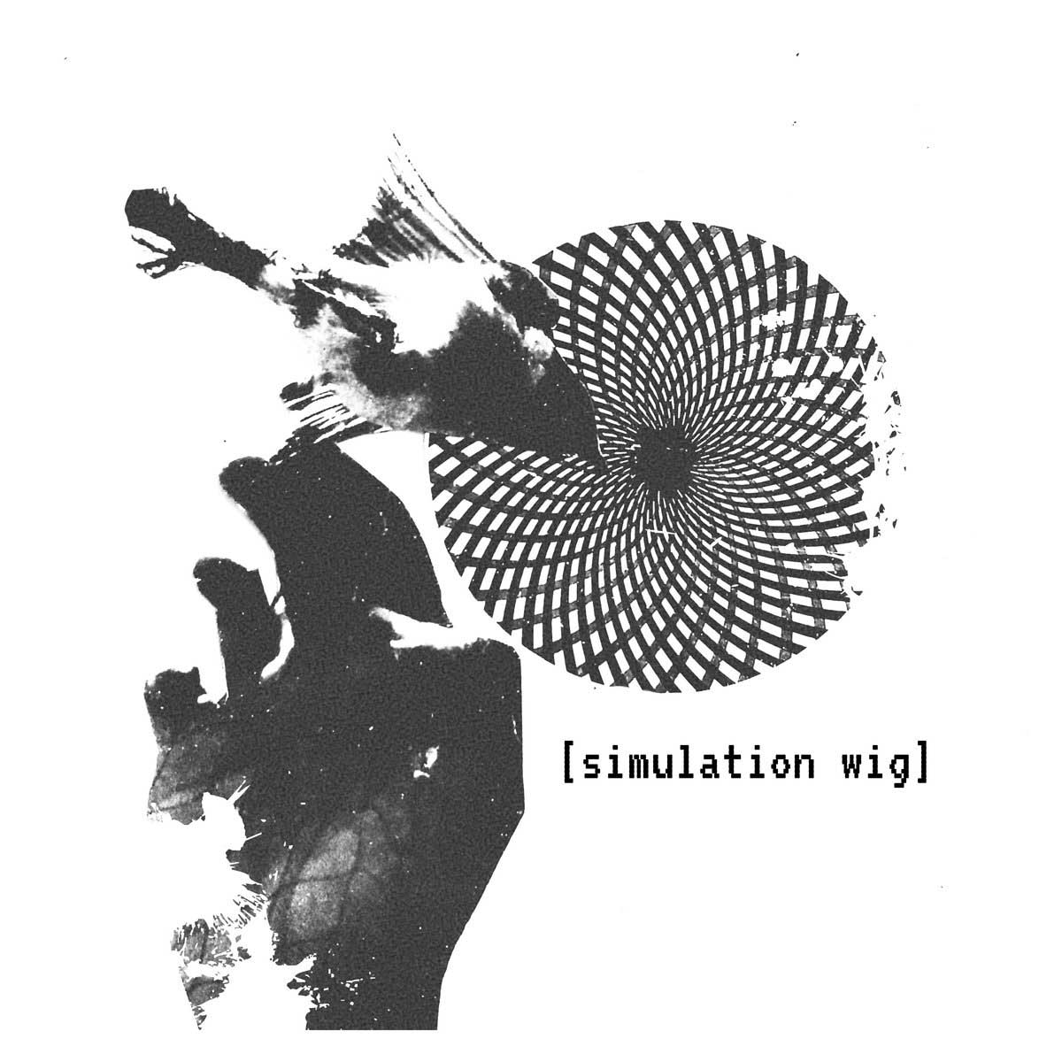 The Difference Machine Open the Vaults and Share "Simulation Wig ...
